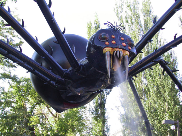 The Spider – Lagoon History Project