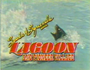 1988 Yearbook – Lagoon History Project